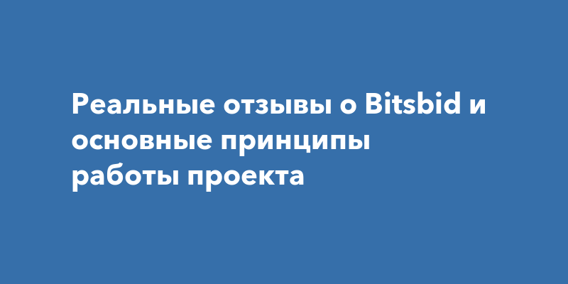 Реальные отзывы о Bitsbid и основные принципы работы проекта