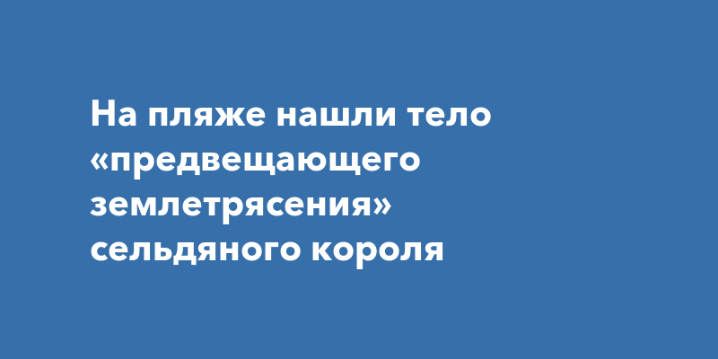 На пляже нашли тело «предвещающего землетрясения» сельдяного короля